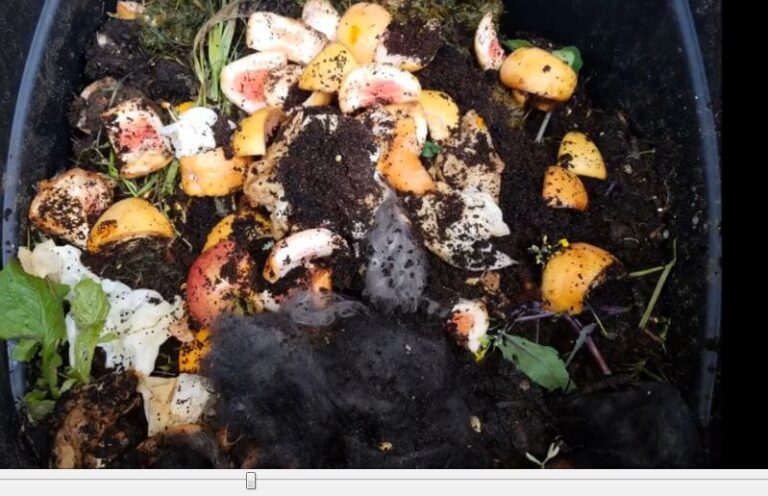 How To Make Compost From Kitchen Waste At Home - Webgardener - Learn ...