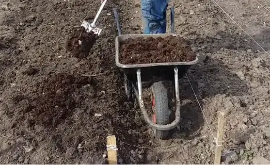 How Use Compost Soil Mix For Lawn