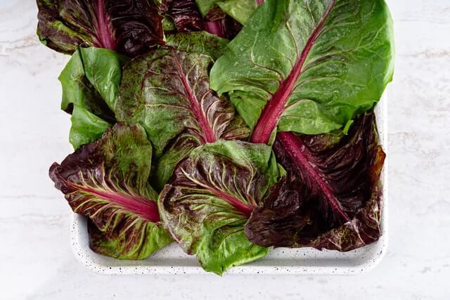 12 Easy Vegetables To Grow In Full Sun - Webgardener - Gardening and ...