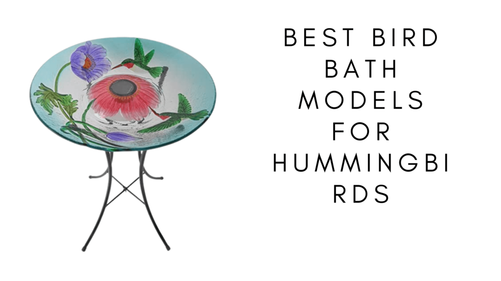 Best Bird Bath Models For Hummingbirds - Webgardener - Learn Gardening ...
