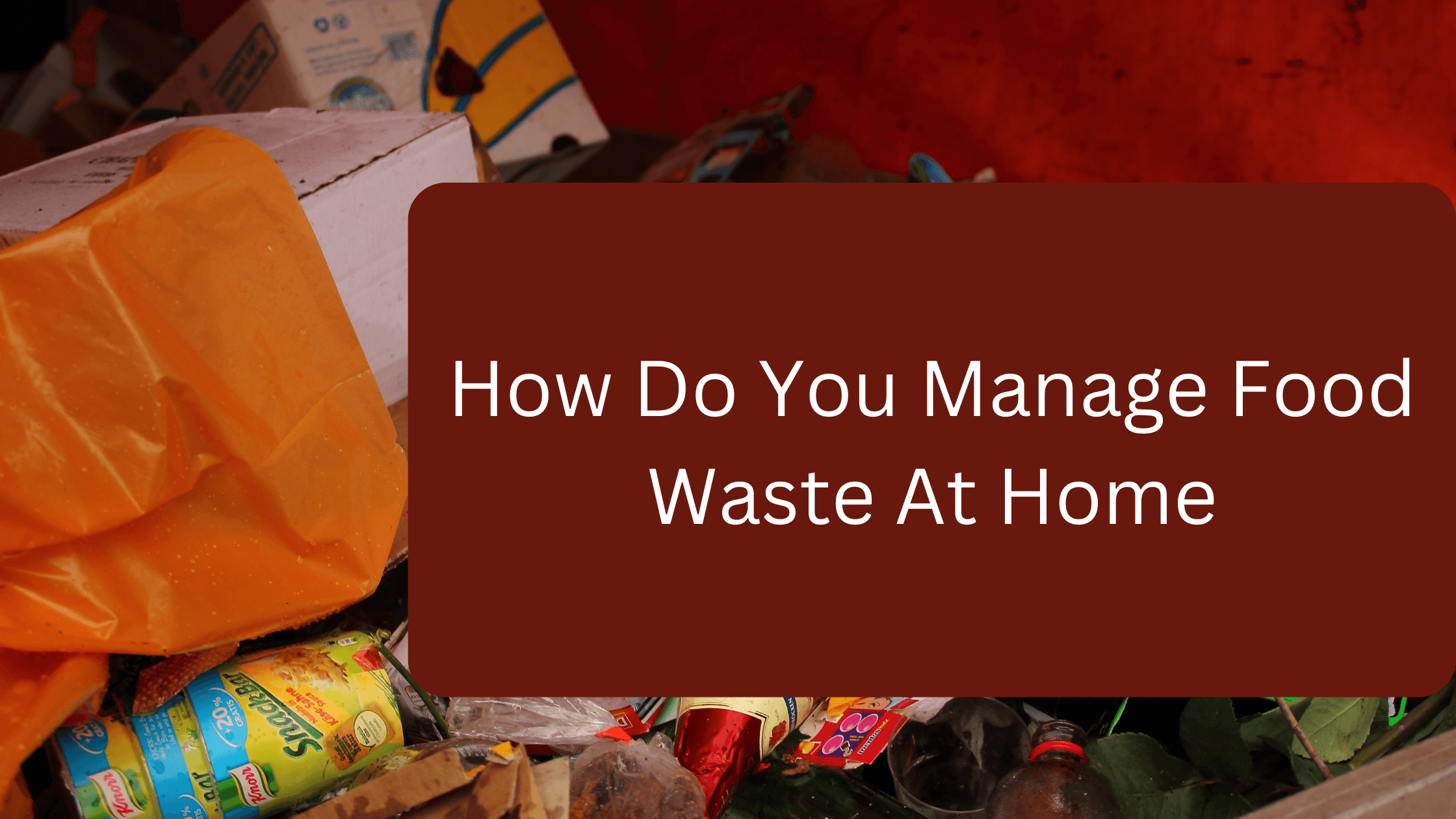 How Do You Manage Food Waste At Home How Do You Manage Food Waste At Home