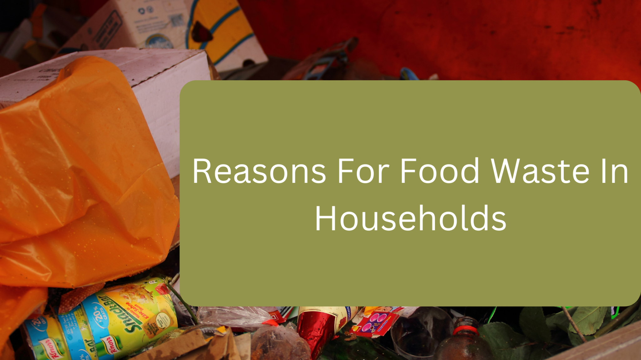 Reasons For Food Waste In Households Webgardener Learn Gardening reasons-for-food-waste-in-households-webgardener-learn-gardening