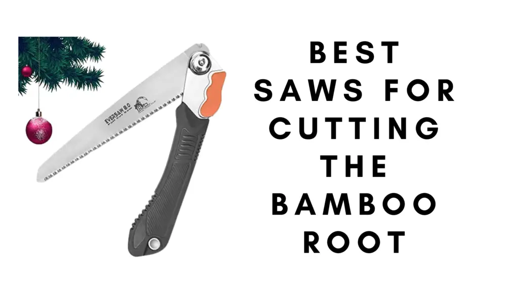 Best Saws for Cutting the Bamboo Root