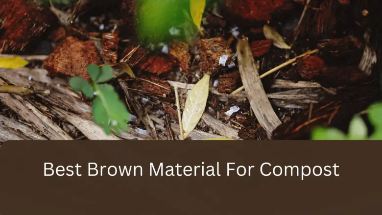 How to Use Composting Toilets Step By Step - Webgardener - Learn ...