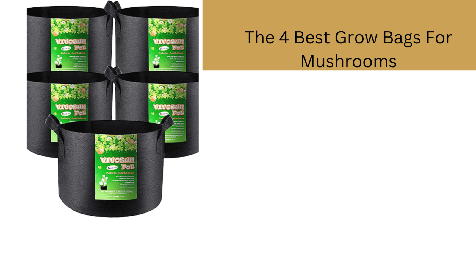 The 4 Best Grow Bags For Mushrooms - Webgardener - Learn Gardening ...