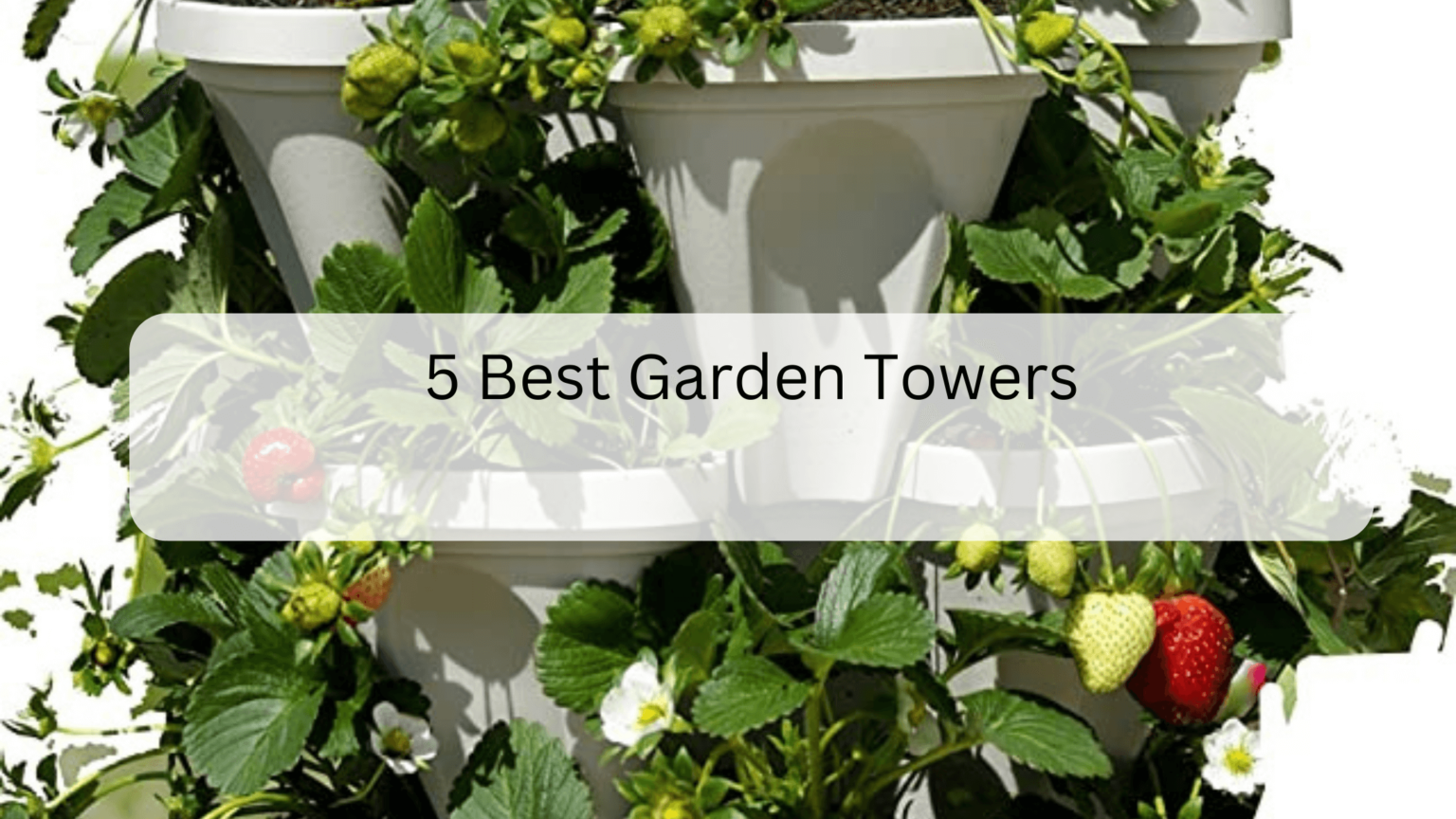 5 Best Garden Towers: Reviews And Buyer's Guide - Webgardener - Learn ...