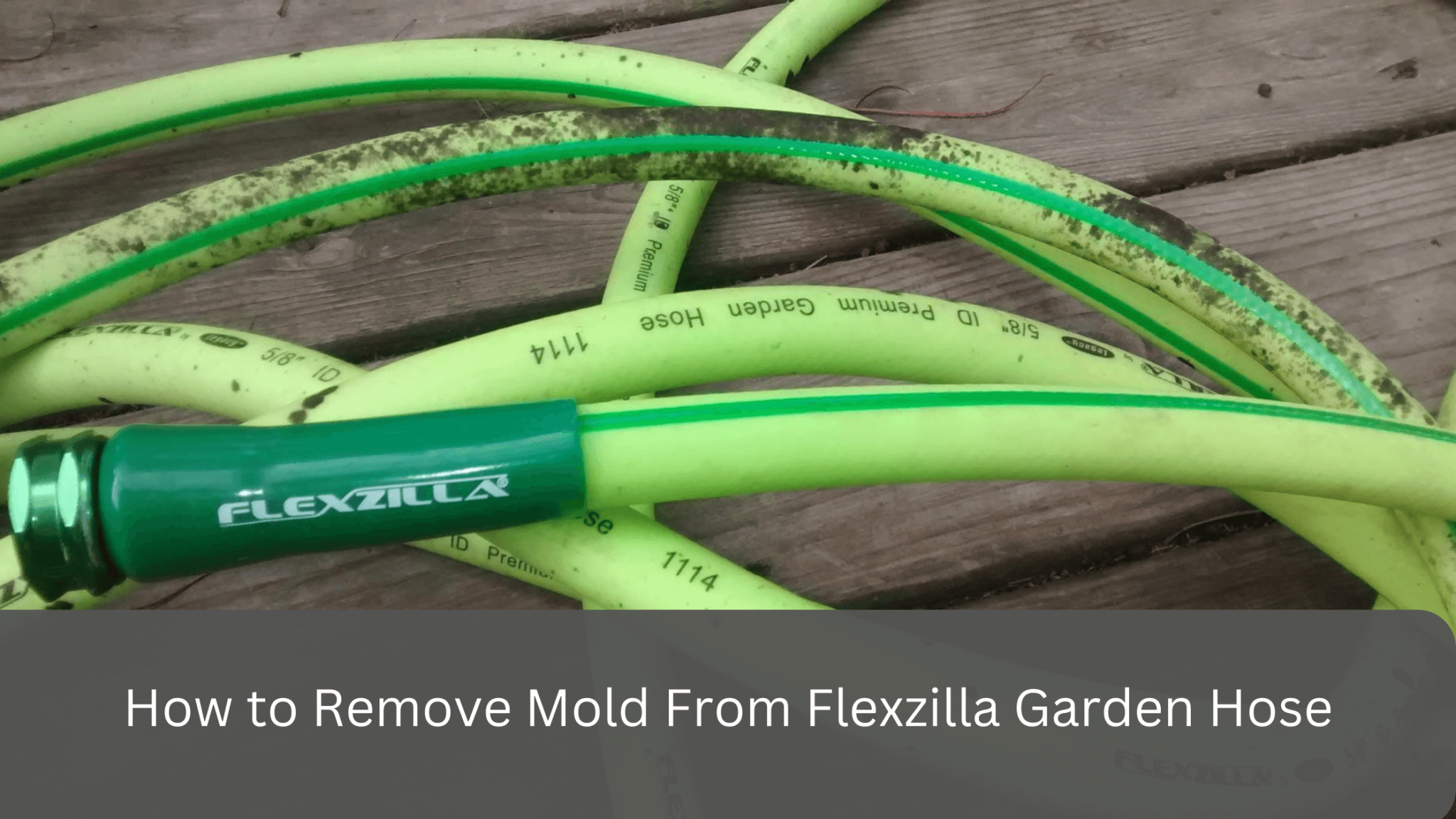 How to Remove Mold From Flexzilla Garden Hose - Webgardener - Learn ...
