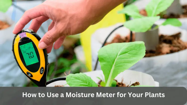 How to Use a Moisture Meter for Your Plants - Webgardener - Learn ...